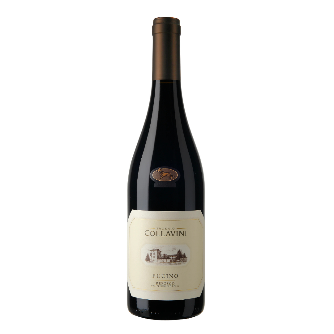 Italy | Friuli-Venezia Giulia | Collavini | Pucino Refosco dal ...